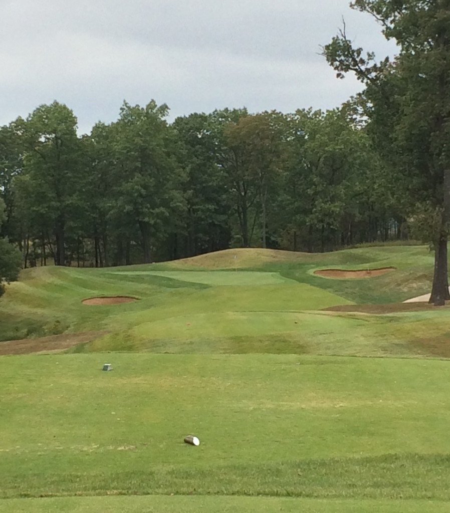 1 Club Golf Team, 1 Hole, 2 Aces